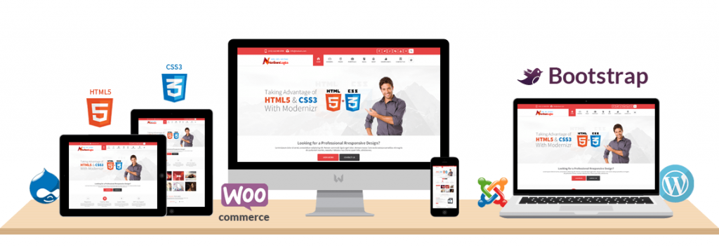 Web Designer | NorthernLogics Web Design & SEO | Springfield